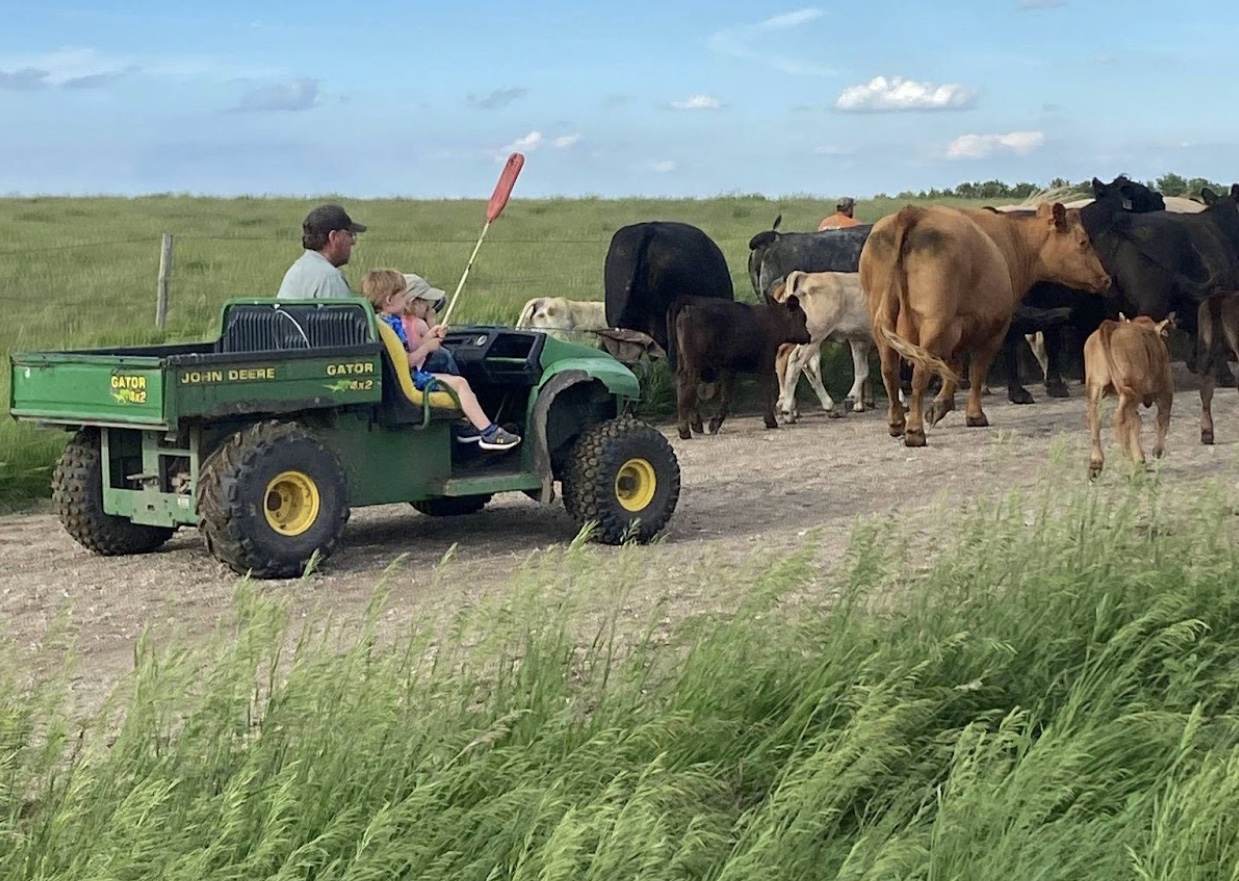 Ag Experience Insider- Duxbury Beef - Stockyards Ag Experience
