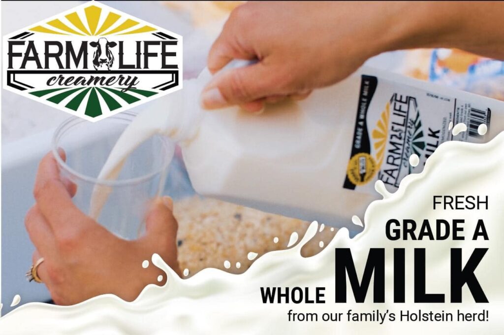 Ag Experience Insider: Milk Processing Explained - Stockyards Ag Experience